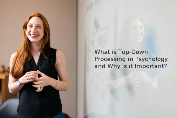 What is Top-Down Processing in Psychology and Why is it Important? - ok.com