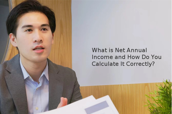 What is Net Annual Income and How Do You Calculate It Correctly? - ok.com